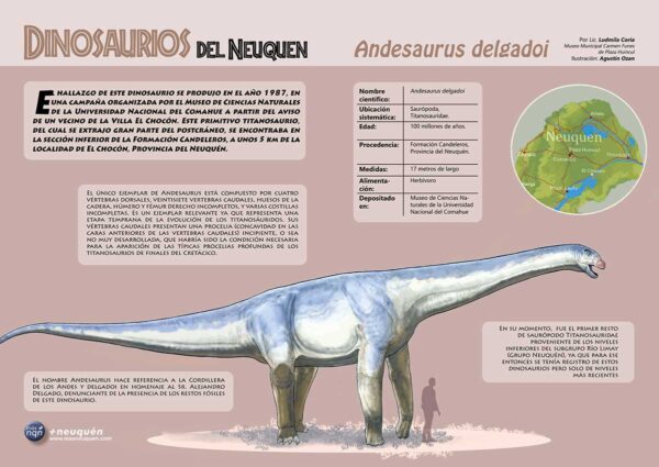 Dinosaurios del Neuquén – Andesaurus delgadoi → Más Neuquén